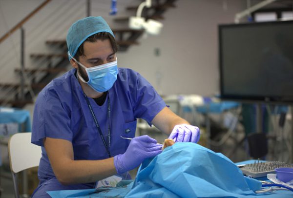 Cadaver Course | ImplatechOne